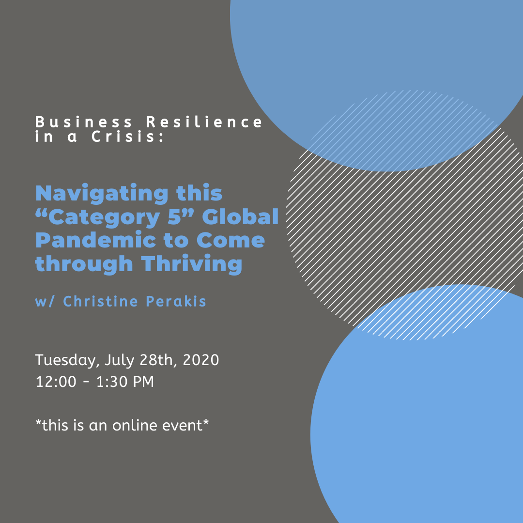 Preccelerator Webinar: Business Resilience in a Crisis w Christine Perakis